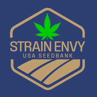 Seedsman – Strain Envy